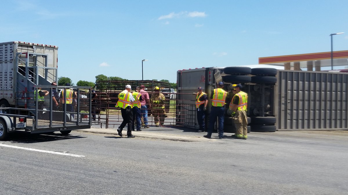 Crash overturns cattle truck in Temple, 3 people injured, 18 cattle ... Crash overturns cattle truck in Temple, 3 people injured, 18 cattle ...